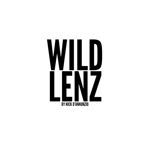 WildLenz - Fine Art Photography – WildLenz Fine Art